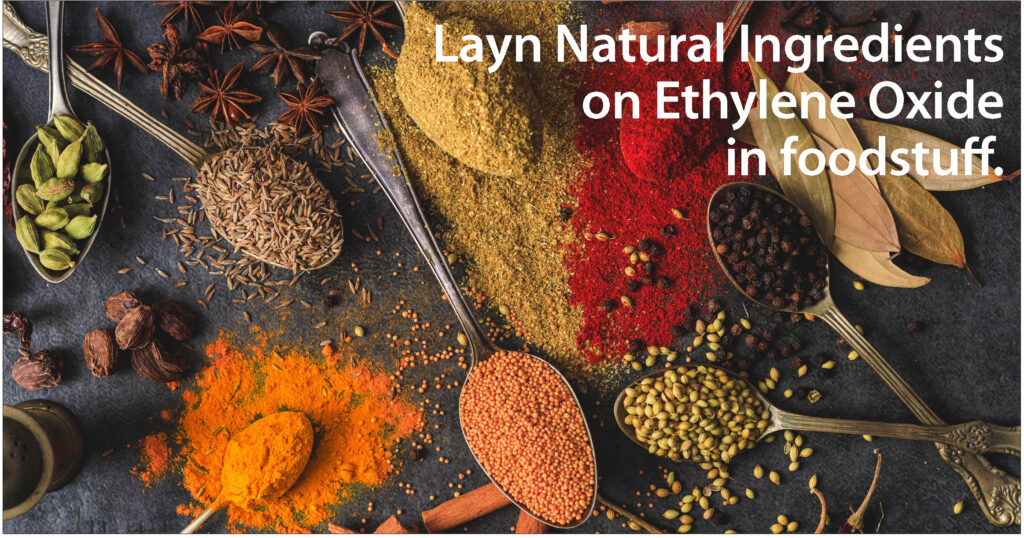 NEWS – Plantae by Layn