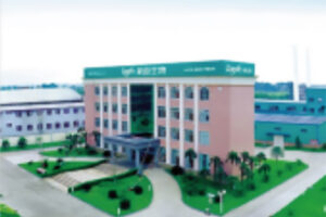 About Layn - Plantae by Layn