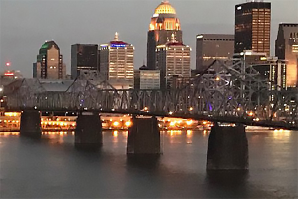 About Layn - Plantae by Layn