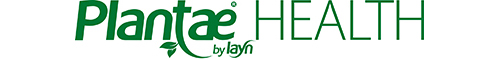 Plantae - Plantae by Layn